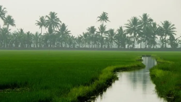 Explore the charm of rural Kerala with a village walk. | WGH Hotels and ...